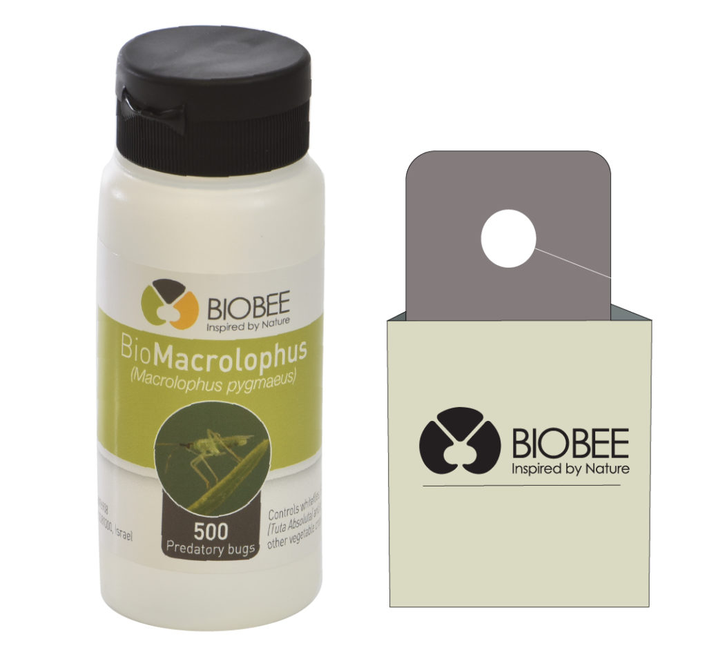 BioMacrolophus - BioBee