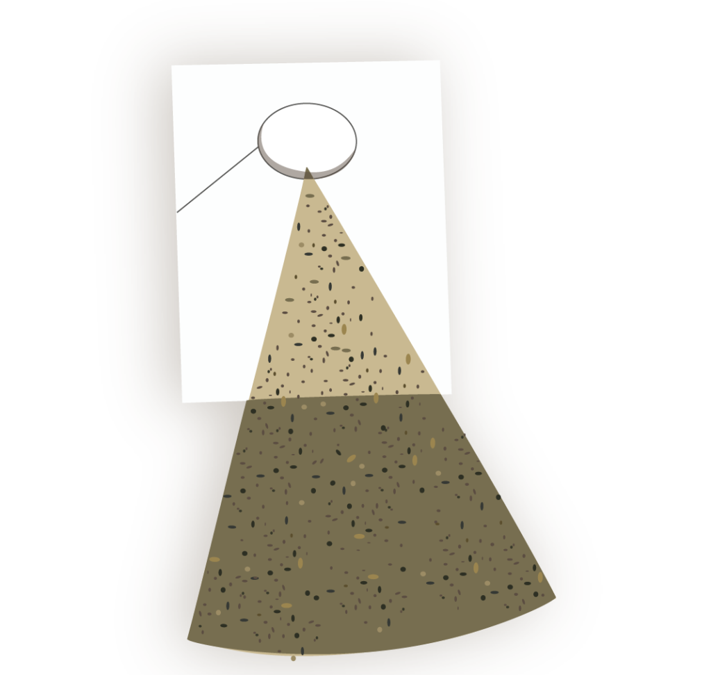 Egg card trichogramma - BioBee