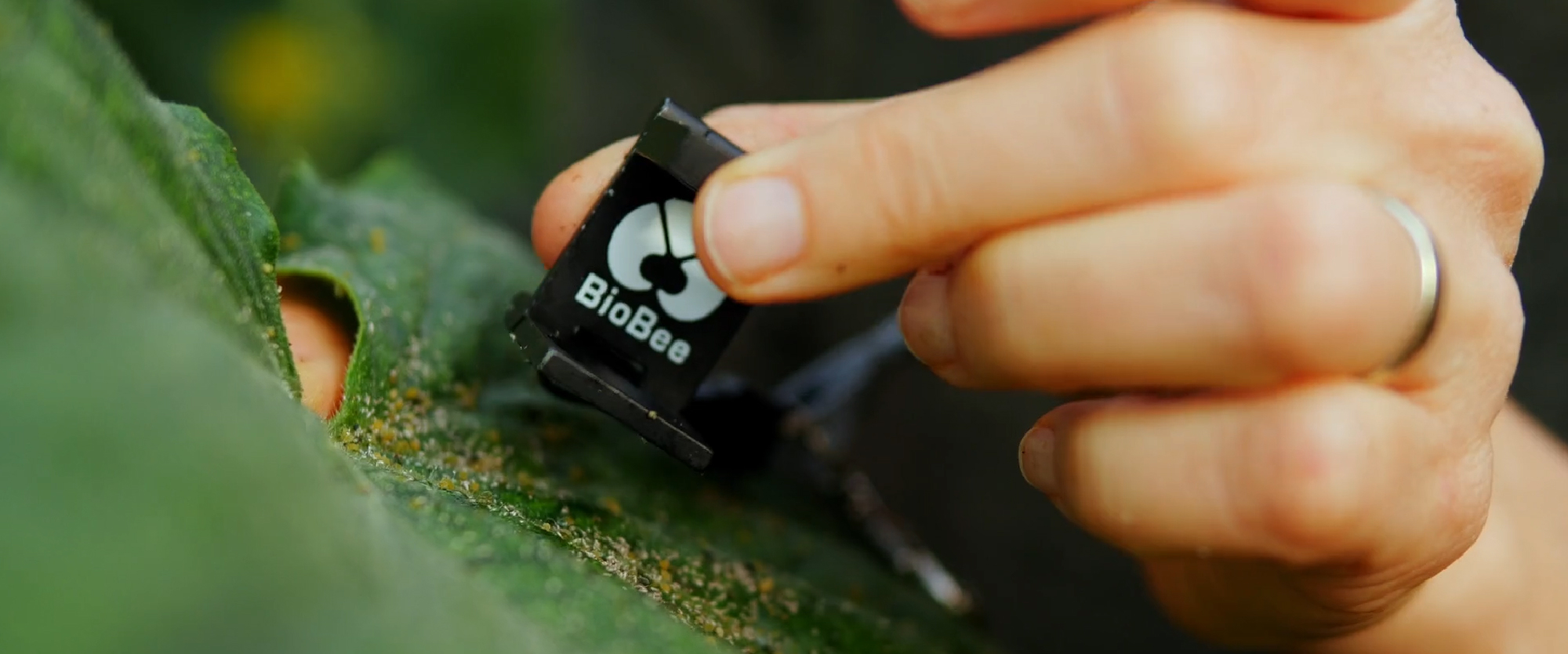 Home - BioBee