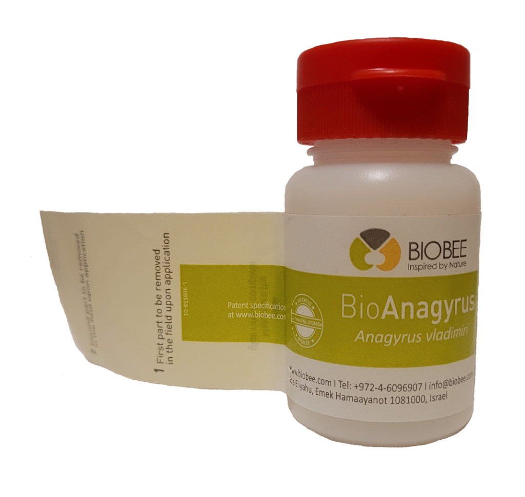 BioAnagyrus - BioBee BioAnagyrus