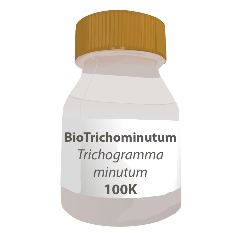 BioTrichominutum - BioBee